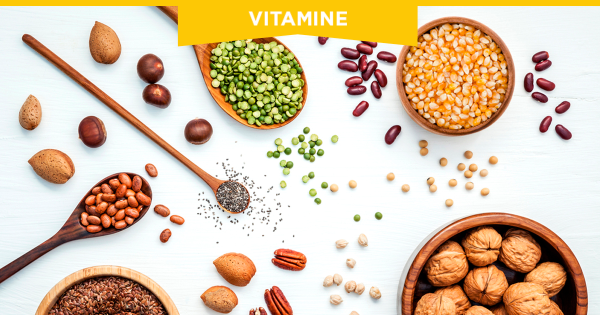 La vitamina E, caratteristiche e proprietà | Olio Maya