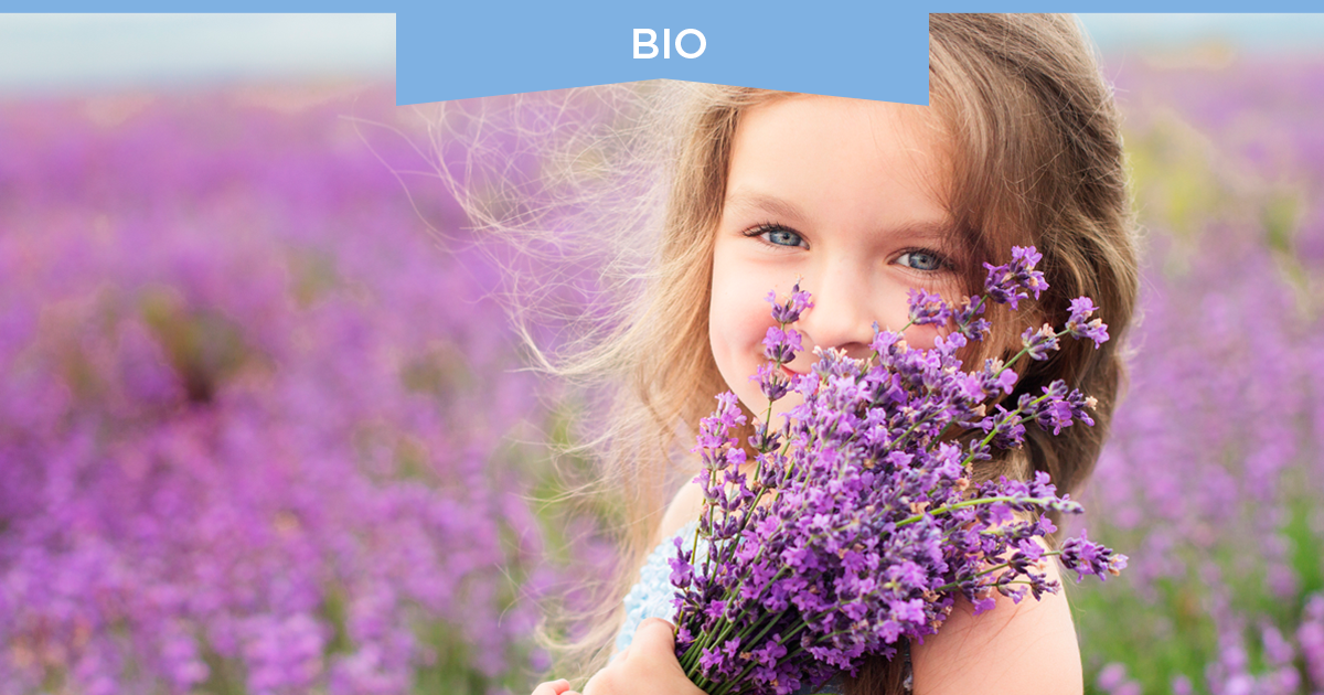 I mille usi della lavanda bio | Olio Maya